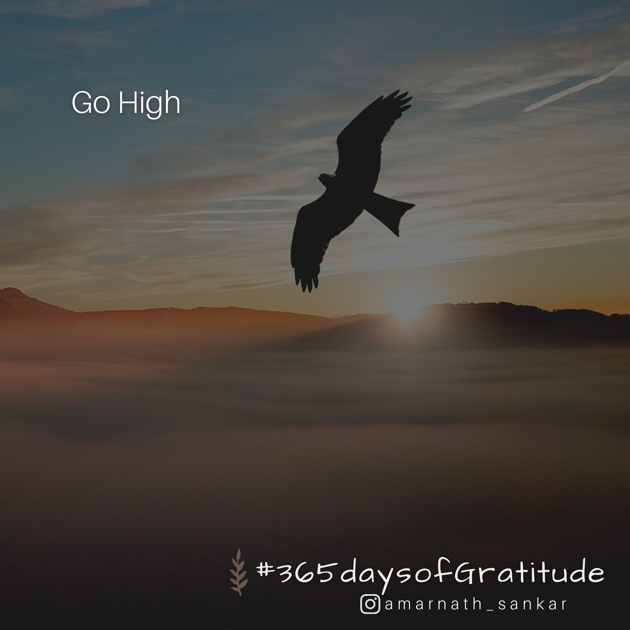 day39 - Go High - Amarnath Sankar